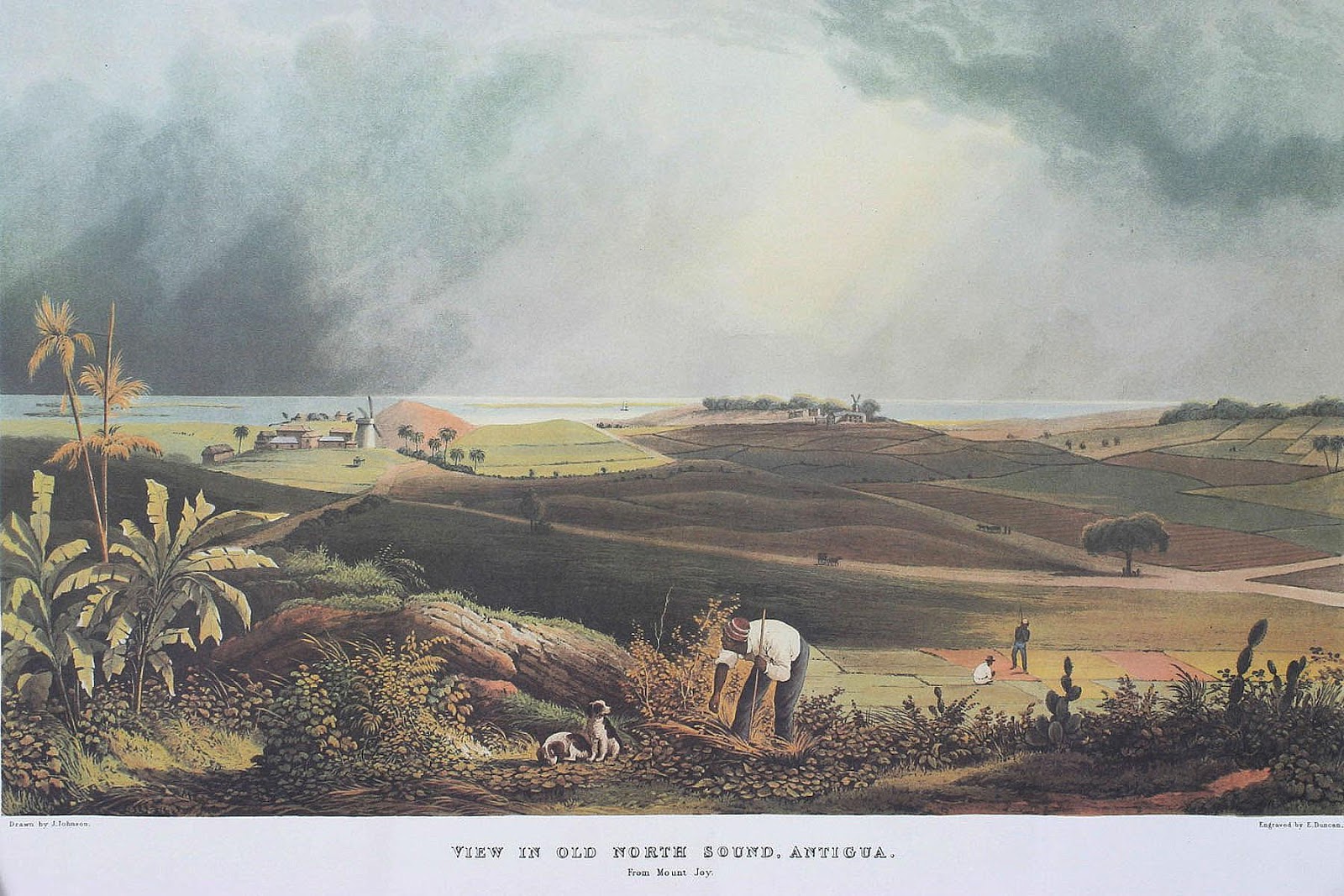 North Sound (Thomas’s Hill/Col. Thomas North Sound Plantation ...